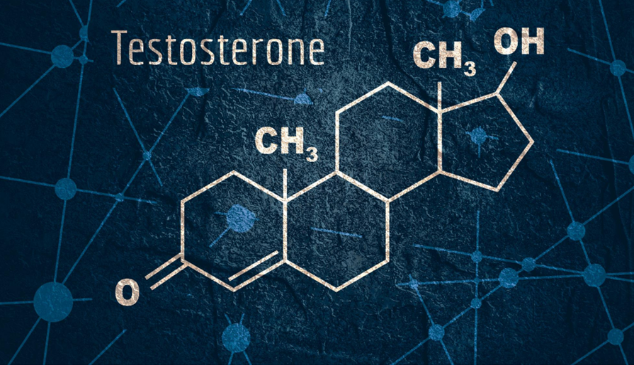 T for Testosterone - T for Test